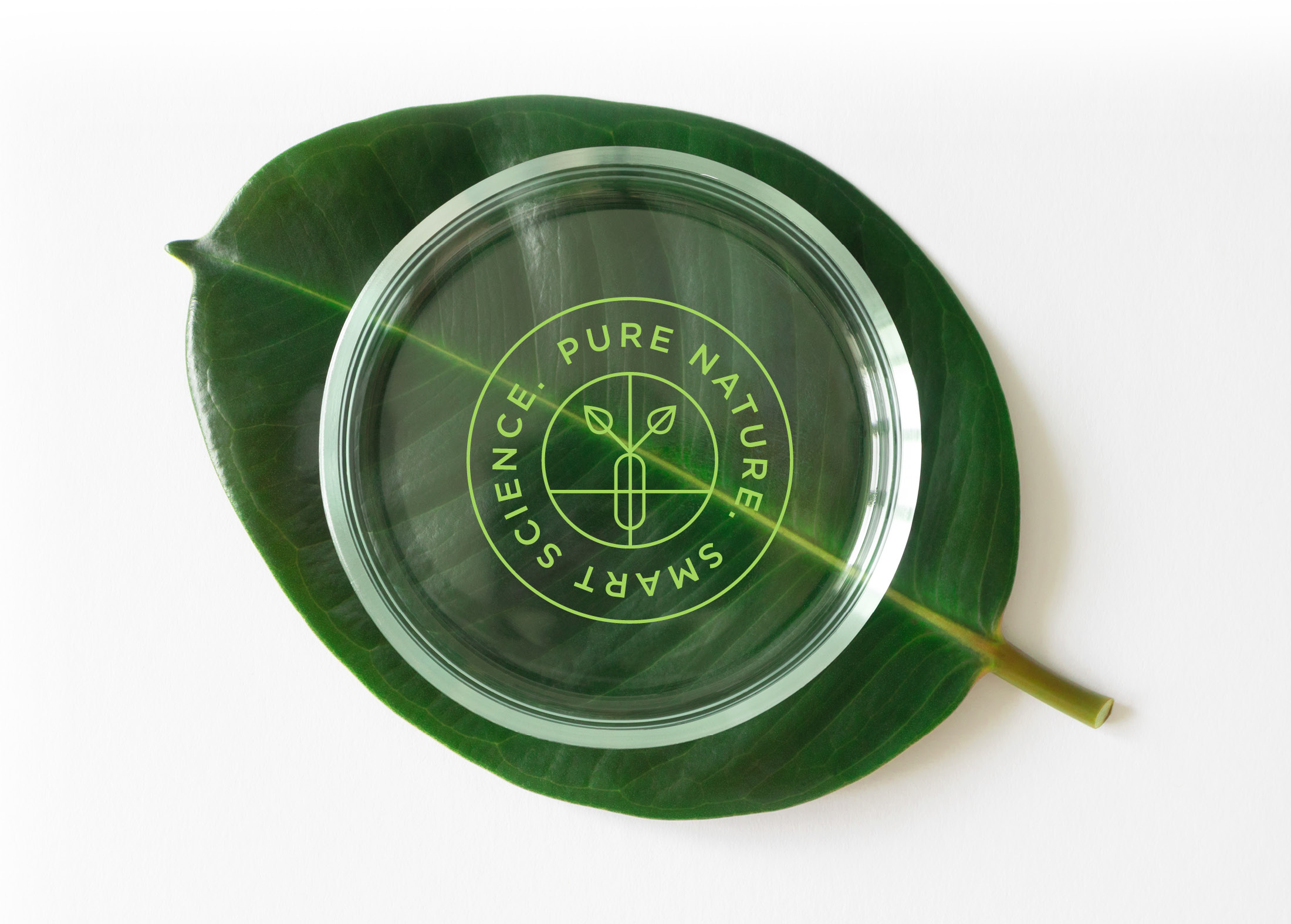 Become a distributor - Supherb - Supherb Group