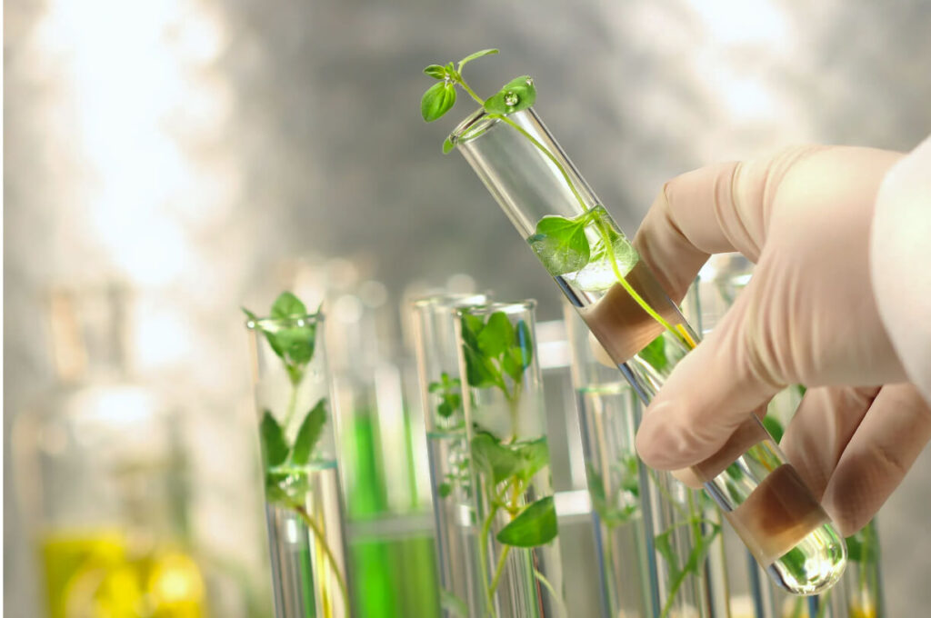 Become a distributor - Supherb - Supherb Group